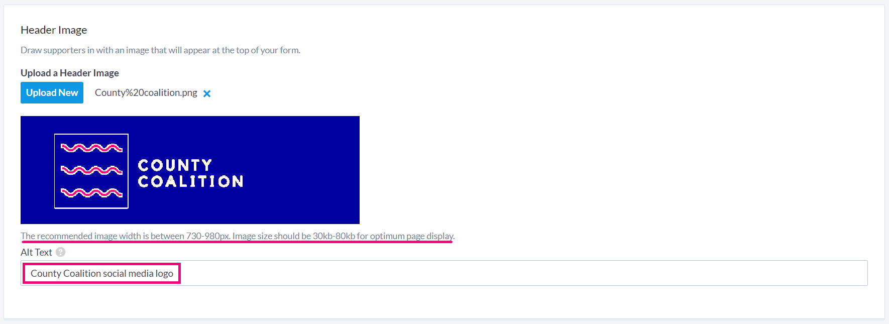 How to: Use Design in Online Actions forms and pages